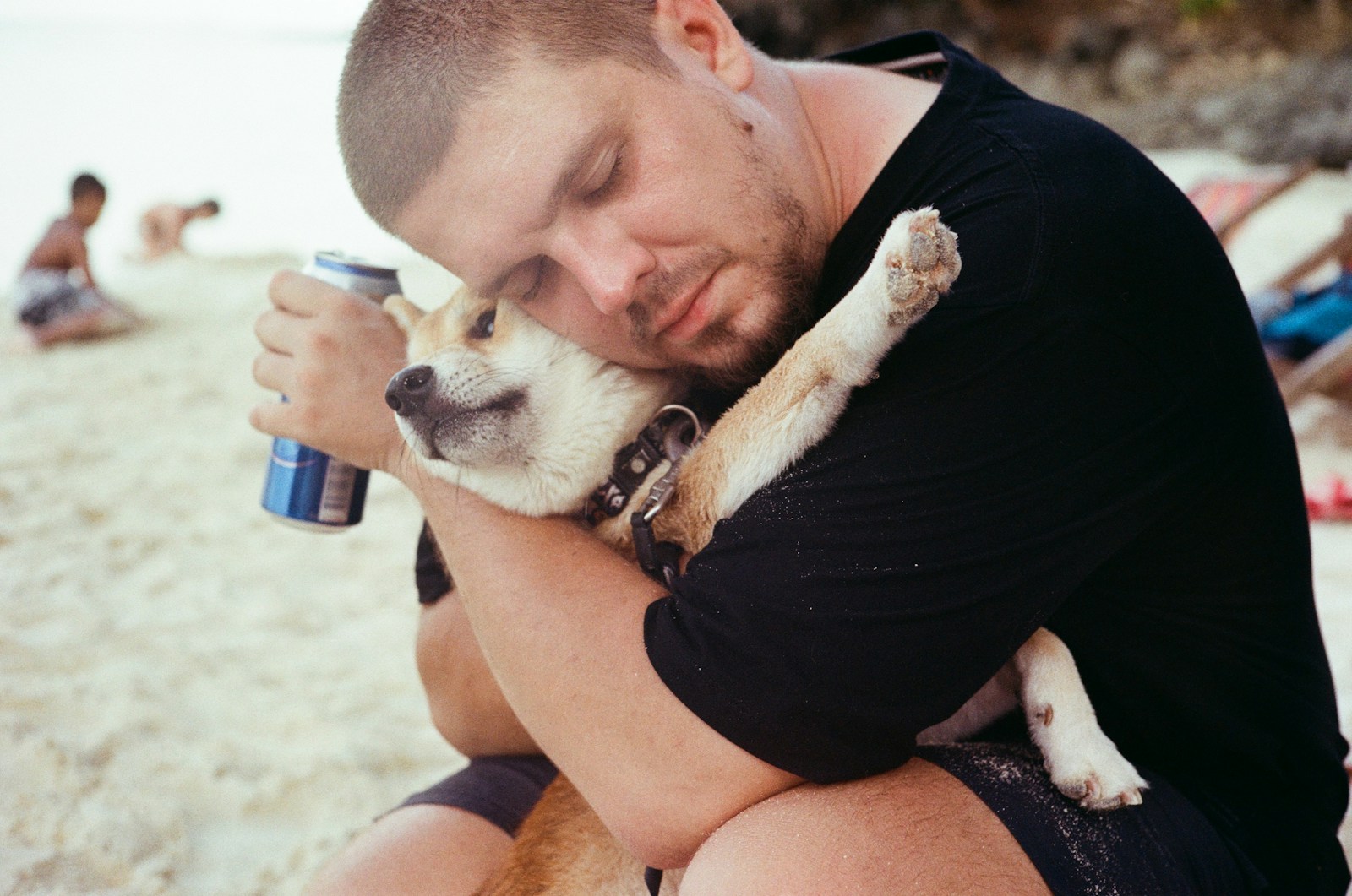 Hug or Not to Hug: Understanding Your Dog's Comfort Zone - Top Tips and ...